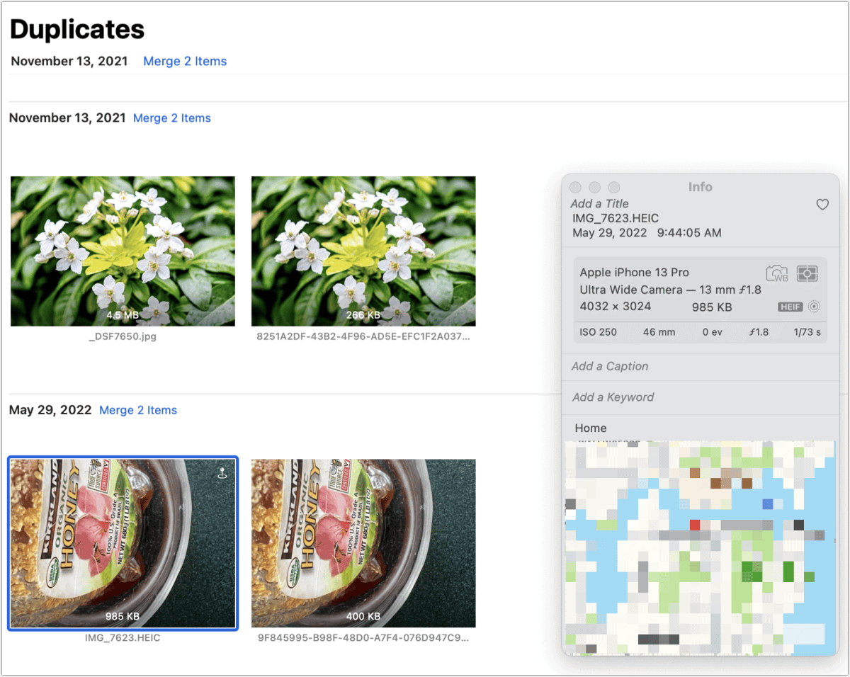 How to use Duplicates Detection in Apple Photos - Dans Tutorials